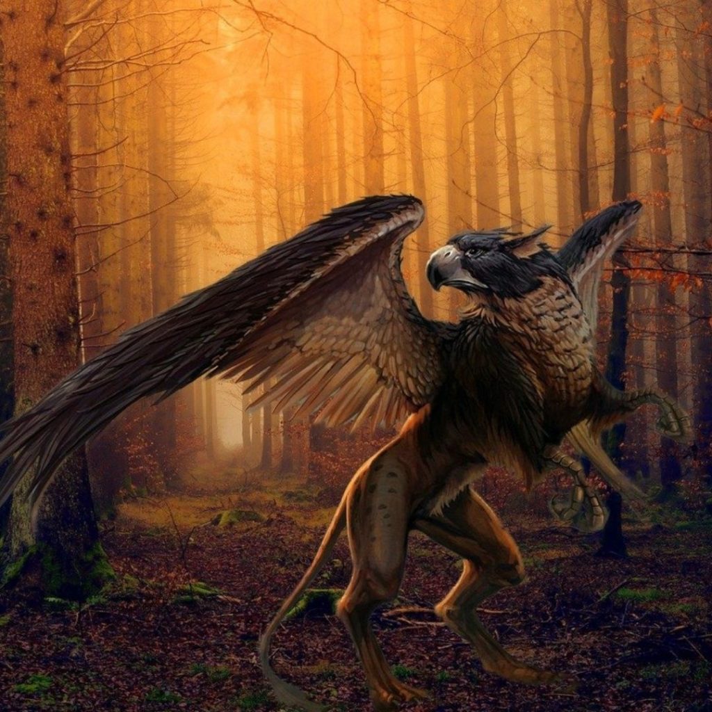 The Care of Magical Creatures Quiz - Wizarding Home