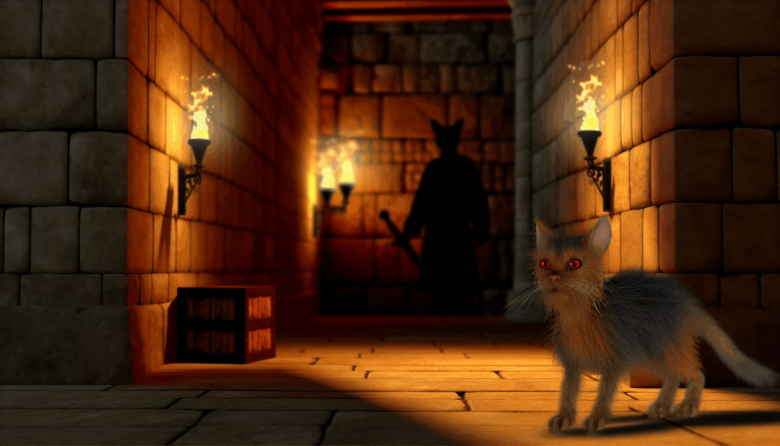 Mrs.Norris Is A Maledictus | Wizarding Home